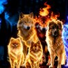 Иконка канала Супер Стая