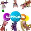 Иконка канала 🪻 карусель 🪻
