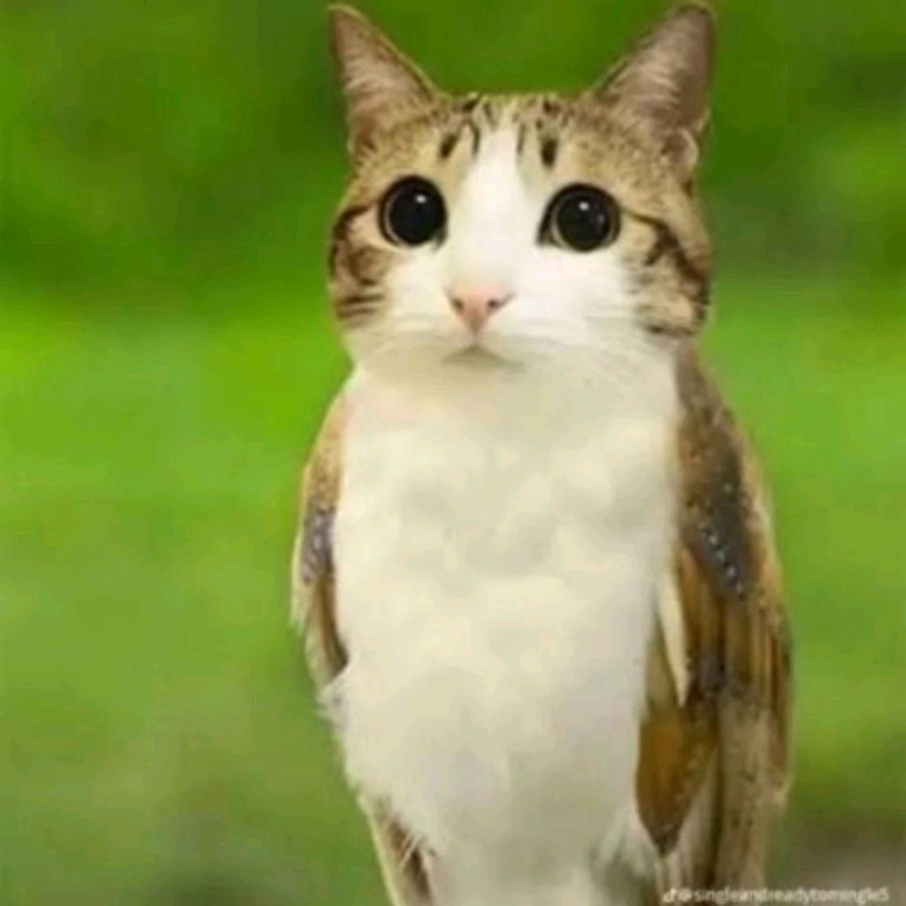 Иконка канала Огурчик 555