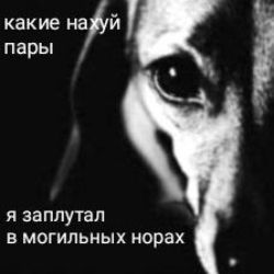 Иконка канала Хозяин