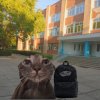 Иконка канала Kirieshka228