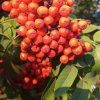 Иконка канала Юлия74