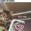Иконка канала Nini_151844