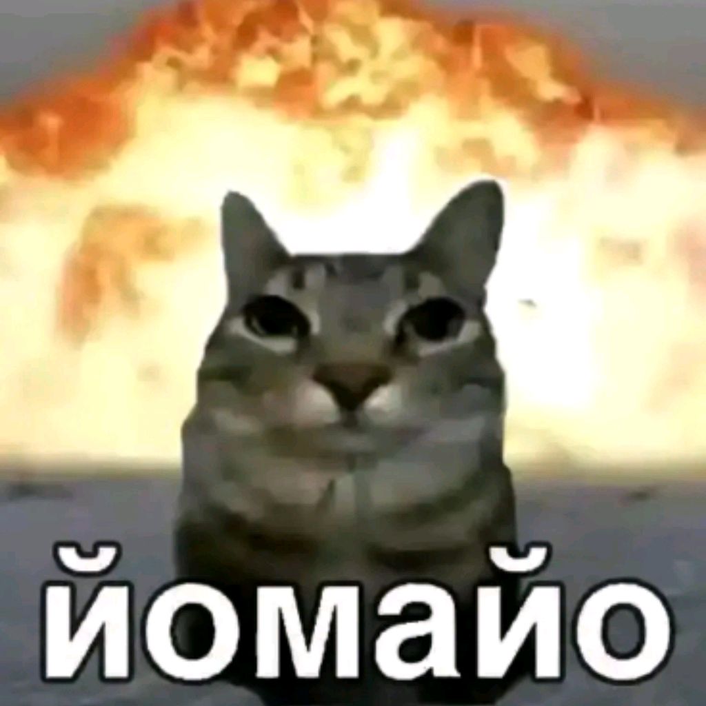 Иконка канала t24