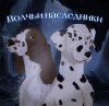 Иконка канала ✶В᧐᧘чьᥙ нᥲᥴ᧘ᥱдн ᥙκᥙ🐺
