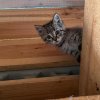 Иконка канала Каспийский груздь
