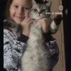 Иконка канала channel81237736