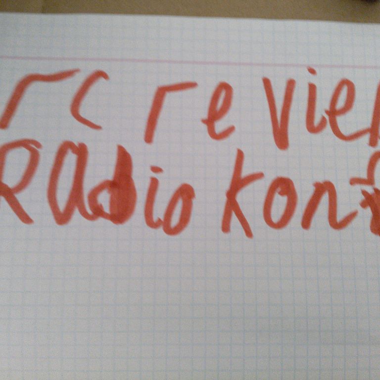 Иконка канала RC reiwies radio Control