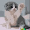 Иконка канала Aruna Котик🐈‍⬛❤