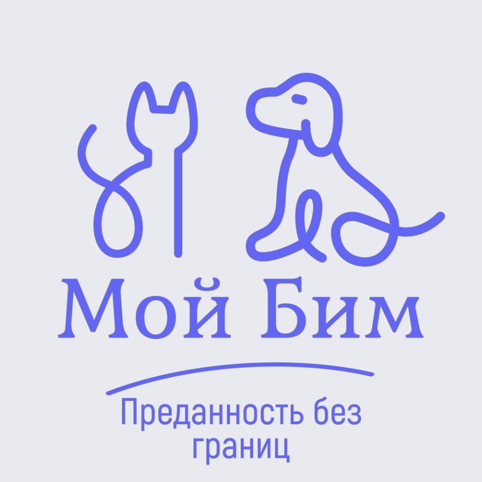 Иконка канала Мой Бим (кошки, собаки в дар)