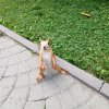 Иконка канала ДоброСновоВмоде