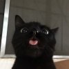 Иконка канала GIF
