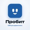 Иконка канала Пробит — CRM для директолог а