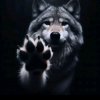 Иконка канала channel81256784