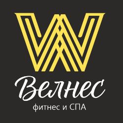 Иконка канала ВЕЛНЕС | ФИТНЕС | СПА