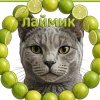 Иконка канала ЛАймиК🟩