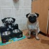 Иконка канала Аня