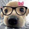 Иконка канала reinira