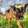 Иконка канала ╺⃝⃤˖†𝕰𝖓𝖉𝖊𝖗†˖╺⃝⃤