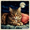Иконка канала Кошка TV 🐱