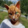 Иконка канала Звёздочка