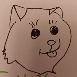 Иконка канала Cat-Book