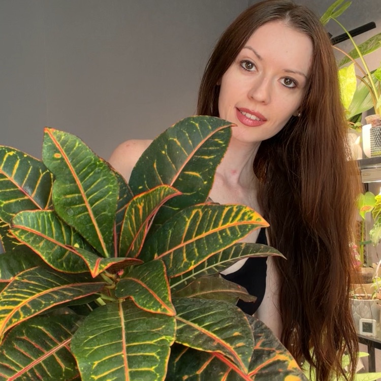 Иконка канала Ann’s plants