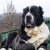 Иконка канала rutube_account_9167998