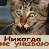 Иконка канала Ручная дрезина
