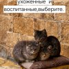 Иконка канала channel81318646