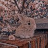 Иконка канала ~ Зая стор~🐇🐾~