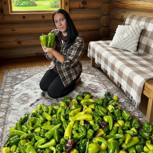 Иконка канала Урожайный уголок.