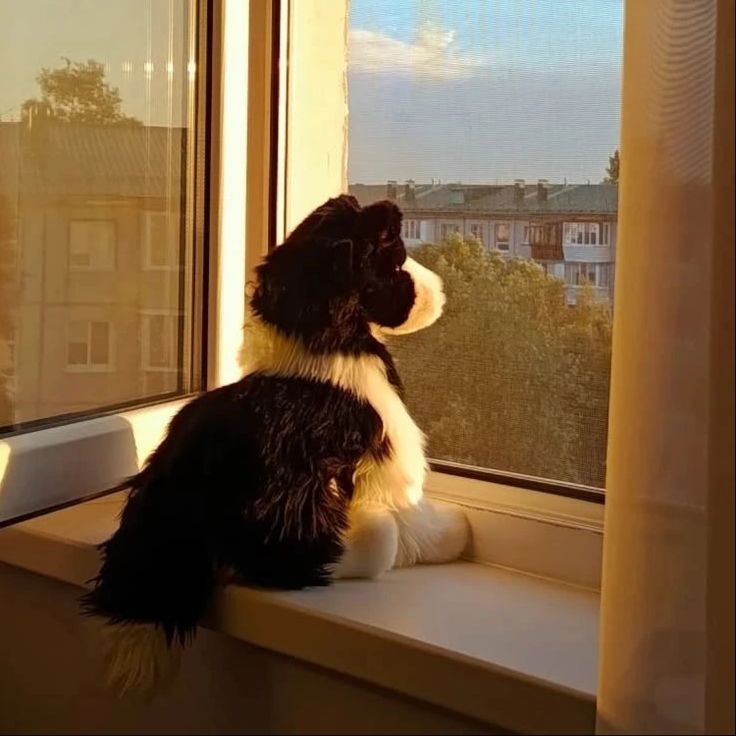Иконка канала 🍁🍂🐾ОСЕННИЕ НОСИКИ 🍁🍂🐾