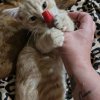 Иконка канала Маша Cat