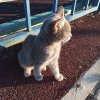 Иконка канала Я И Моя Правила