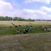 Иконка канала В гостях на ферме