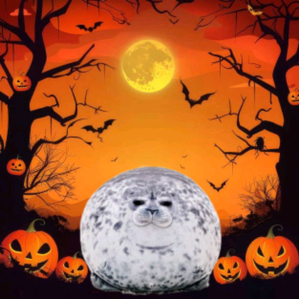 Иконка канала 🦭seal-history🍂
