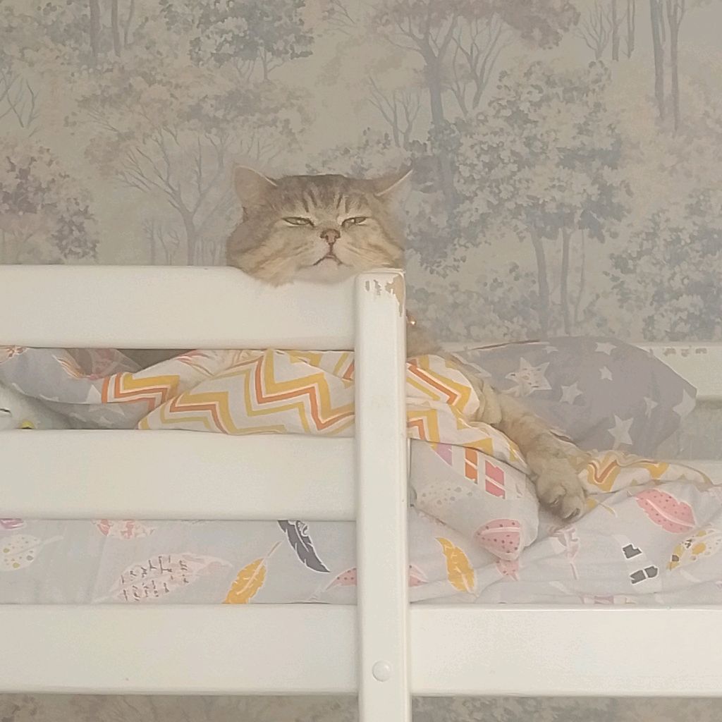 Иконка канала Каспер ТОП! ❤