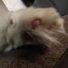 Иконка канала Кооооооооооооооооот! Насик Бро