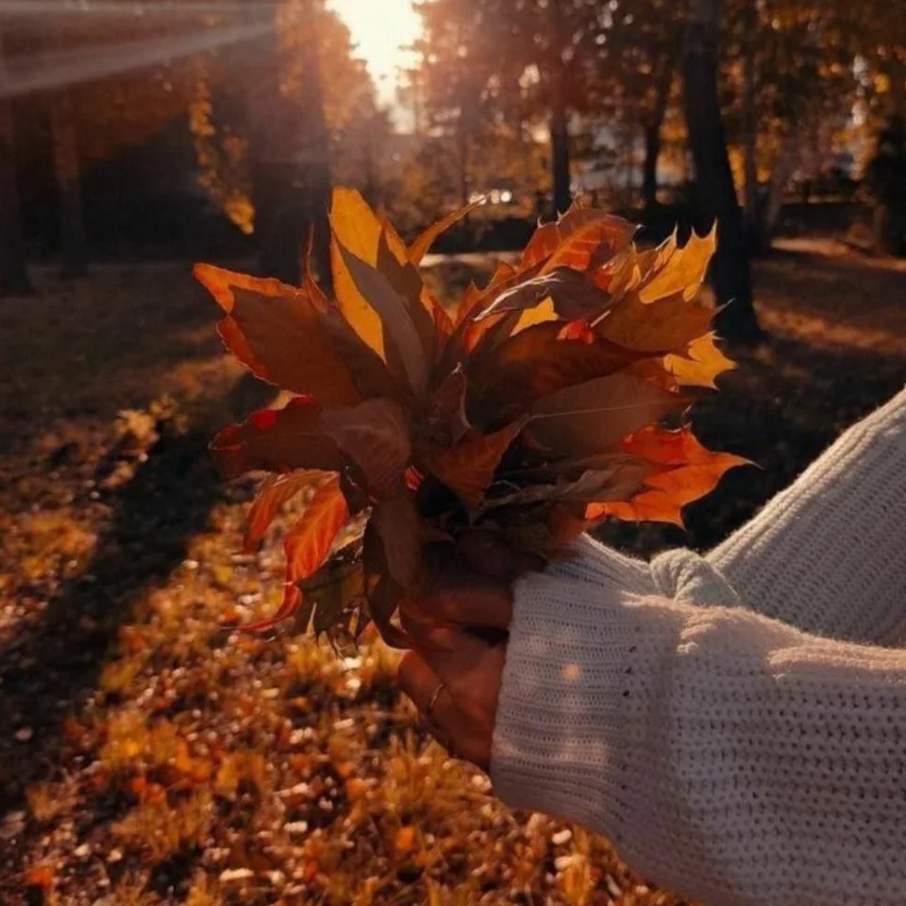 Иконка канала -Flora aw ୨ৎ!