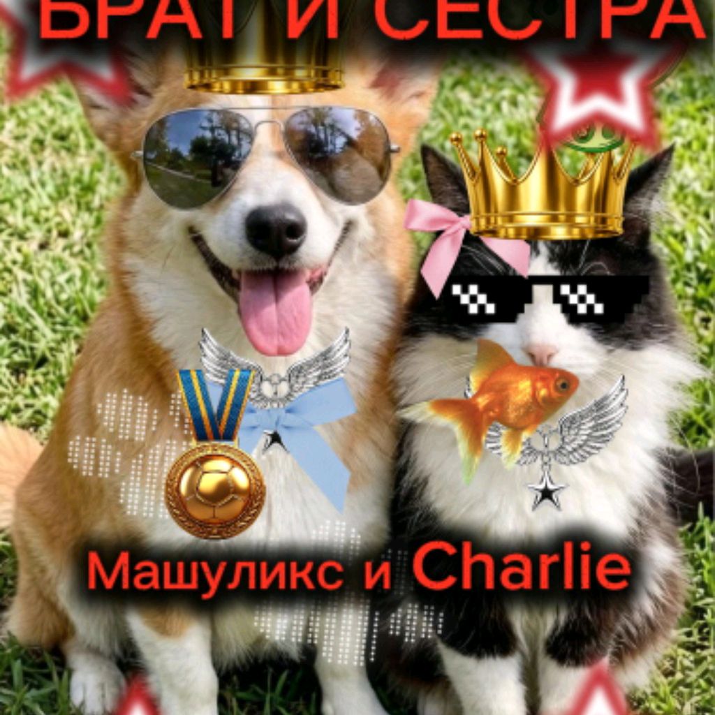 Иконка канала Машуликс И Charlie👑🔥🤟😎
