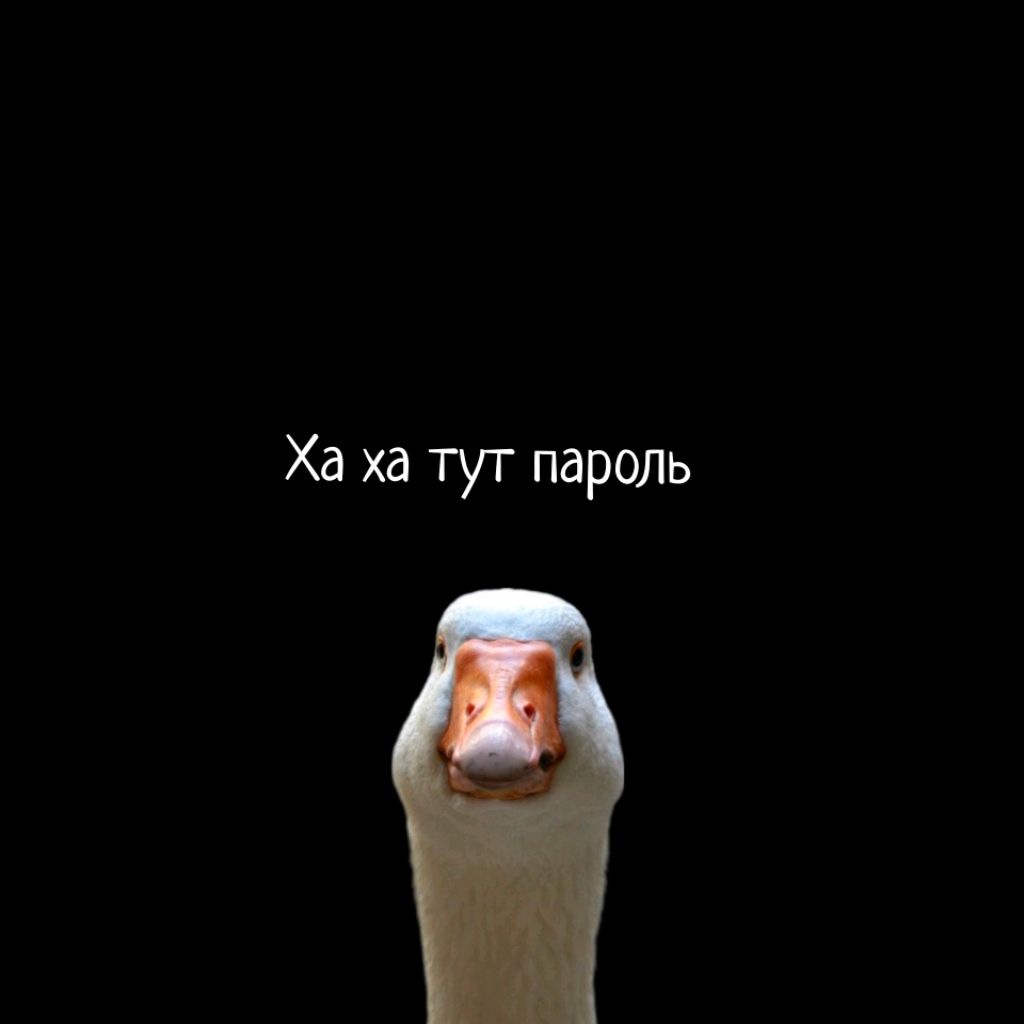 Иконка канала KLyBHN4KA228