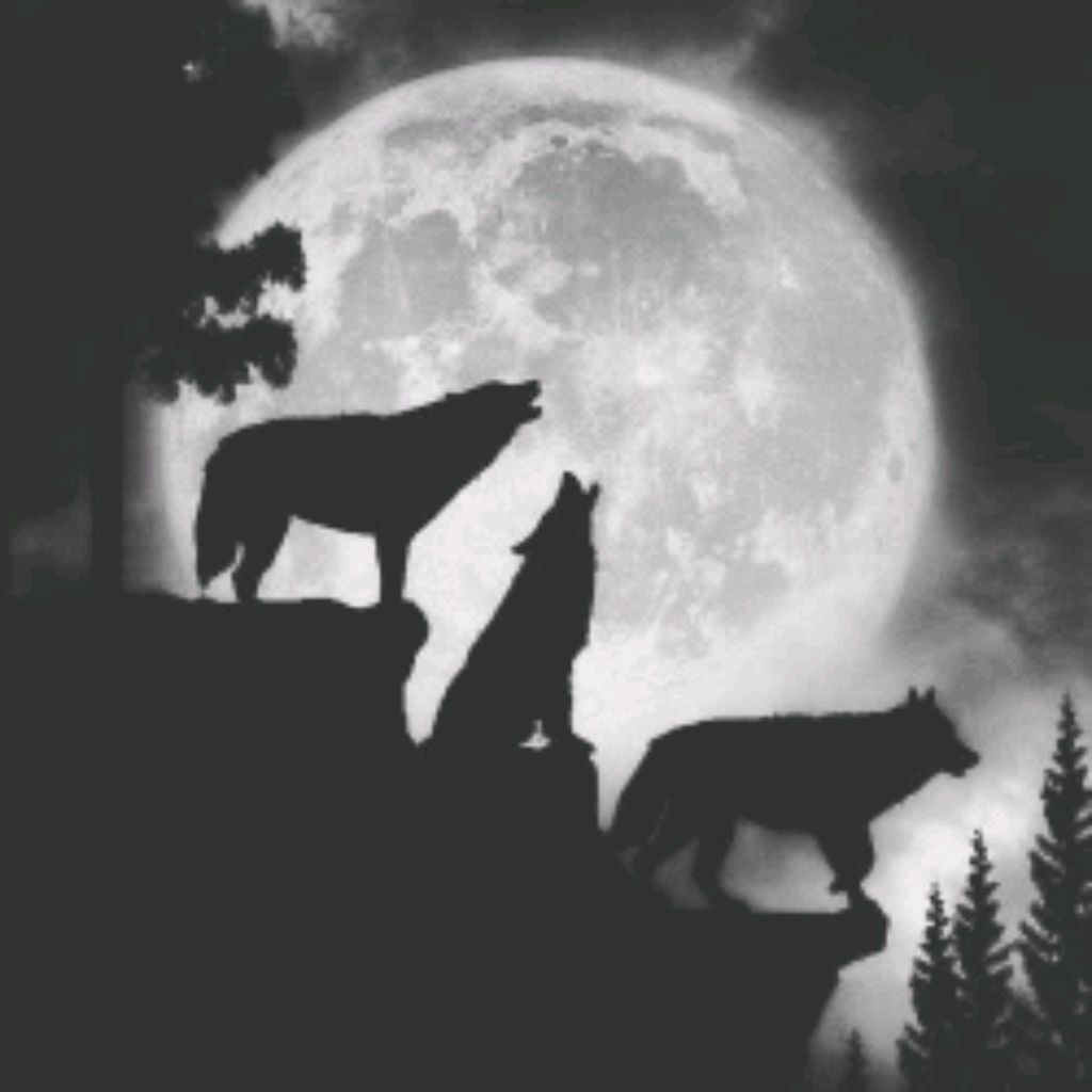 Иконка канала wolves