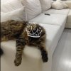 Иконка канала LPS