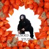 Иконка канала Snusoed Studios
