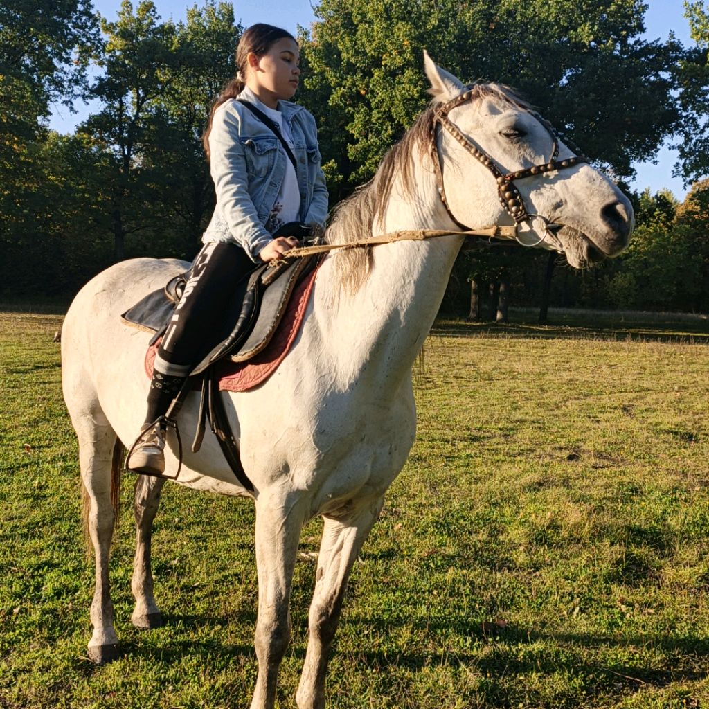 Иконка канала 💗Golden_🐎Horseshoe🌸