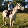 Иконка канала 💗Golden_🐎Horseshoe🌸