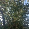 Иконка канала Цветовая Палитра