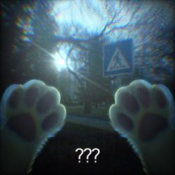 Иконка канала черри /лиса