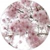 Иконка канала 🌸Sakura🌸